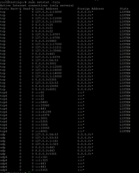 Checking Open and Listening Ports on Linux Using netstat and ss ⋆ ...