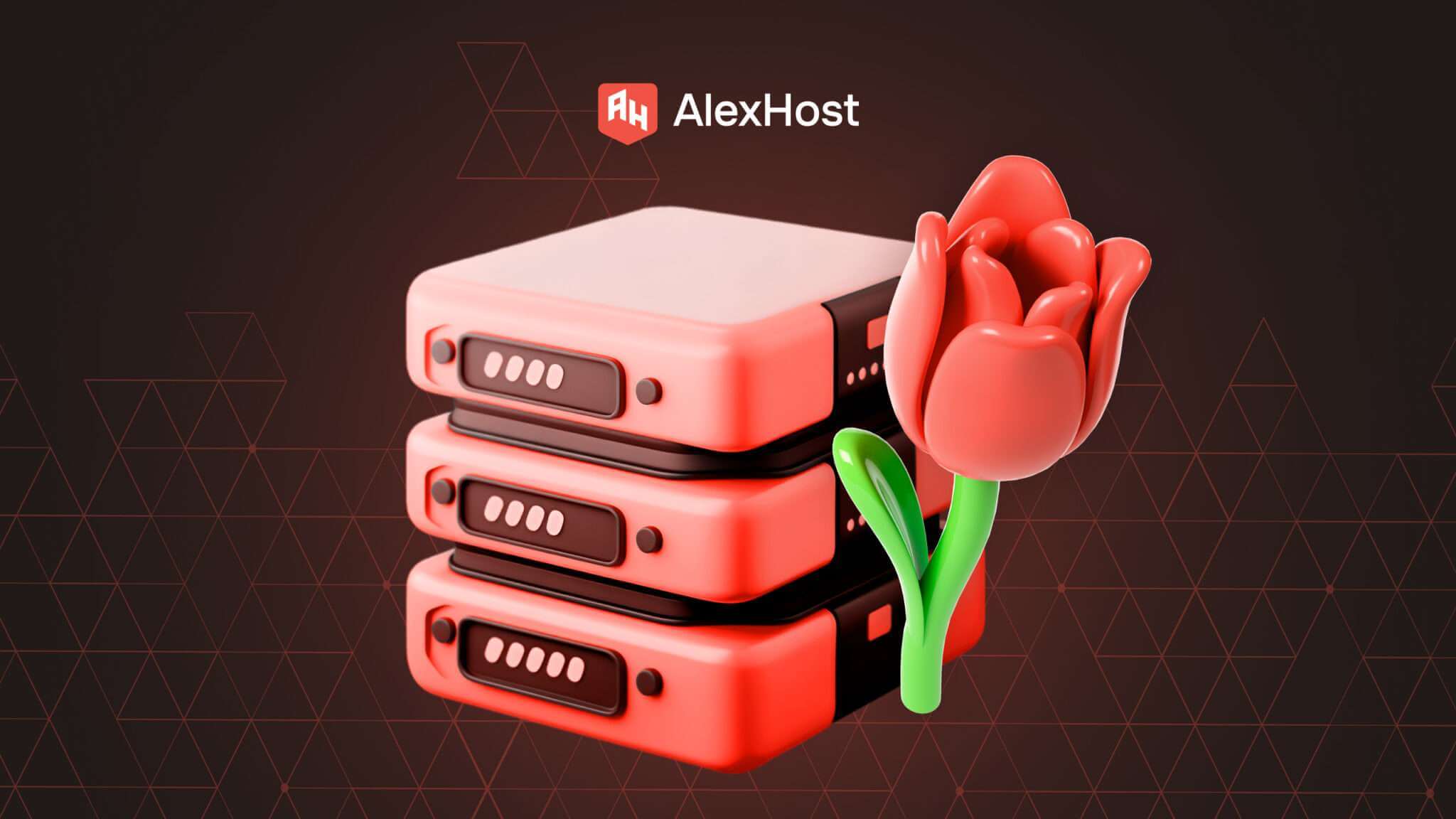AlexHost SRL Hosting Provider - Hosting provider services - Hosting ...