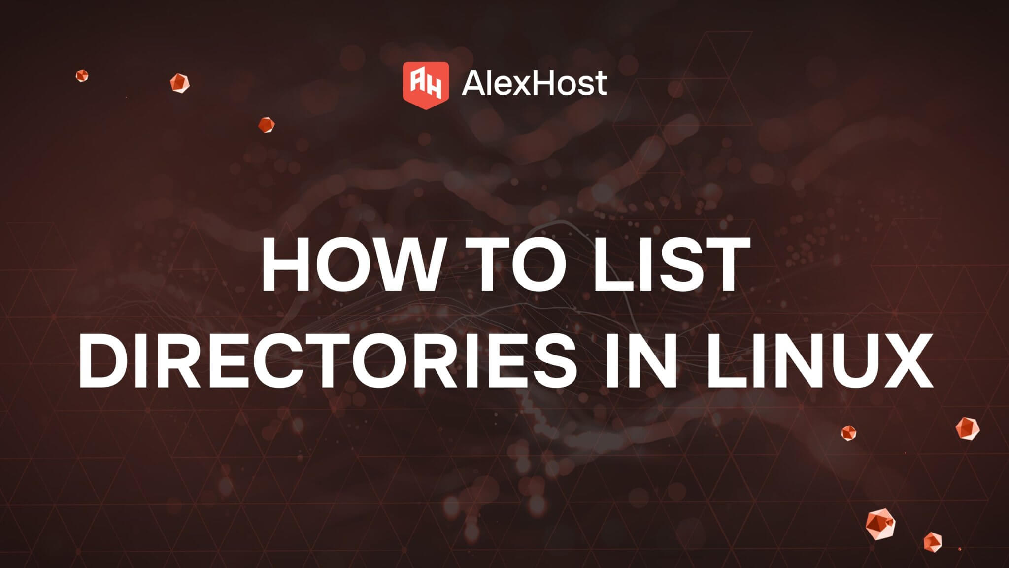 Shebangs verstehen: Ausführen von Bash- und Python-Skripten im Linux-Terminal ⋆ ALexHost SRL