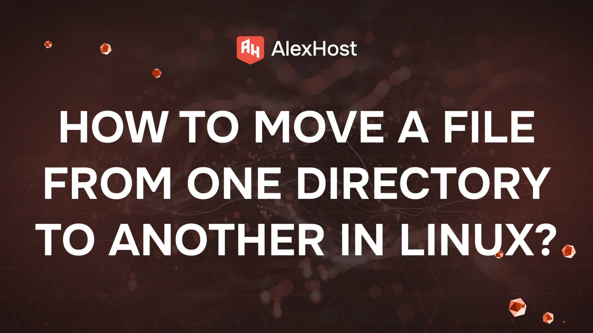 Shebangs verstehen: Ausführen von Bash- und Python-Skripten im Linux-Terminal ⋆ ALexHost SRL